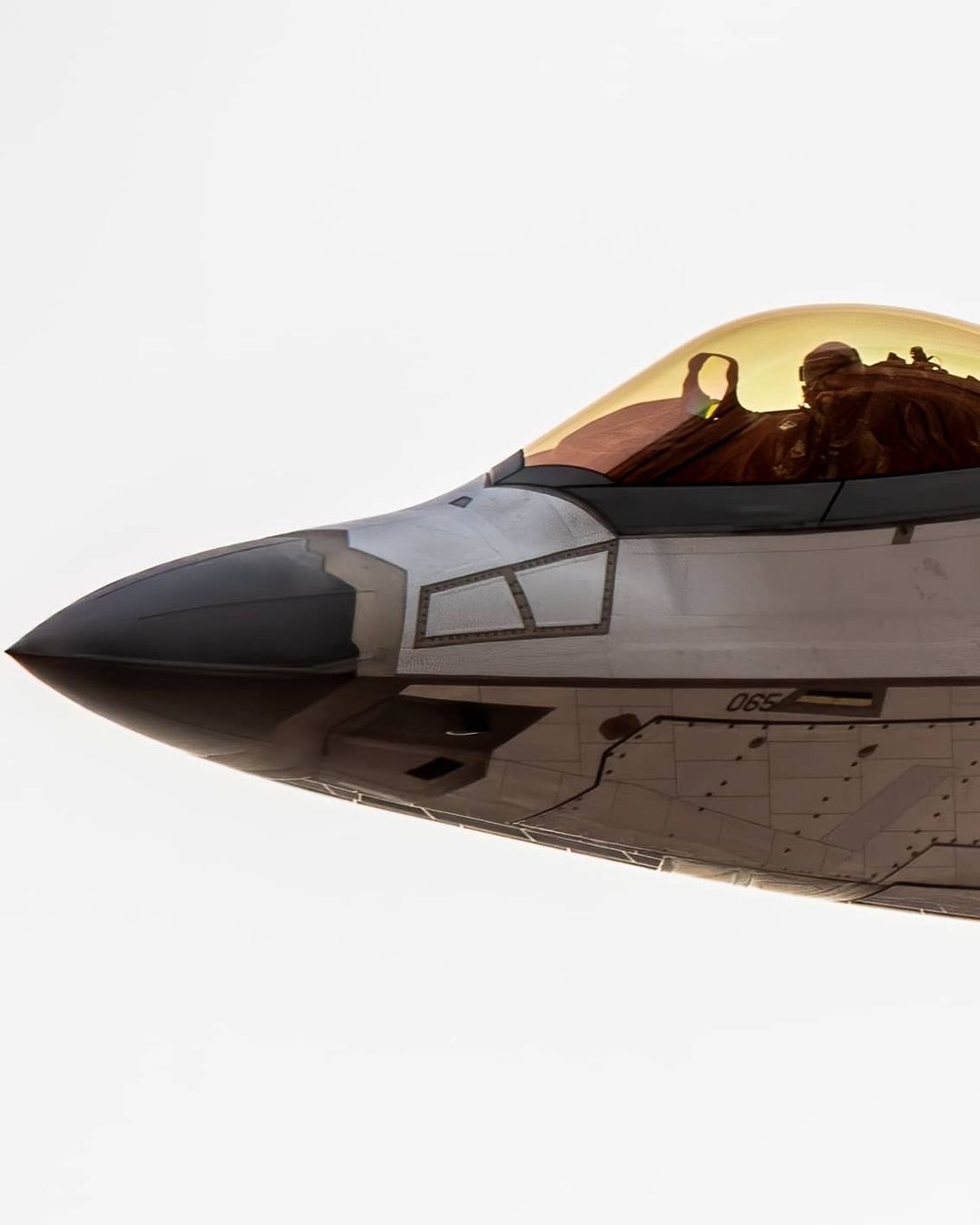 F-22 Raptor: World’s Deadliest Stealth Fighter Jets' ‘New Reflective ...
