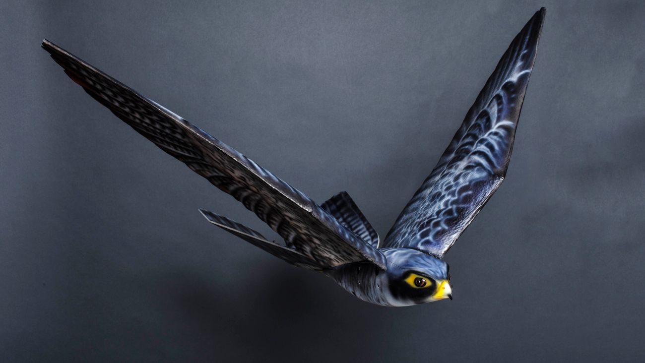 Revolution In Drone Tech? Researchers Develop ‘Flapping Wing UAVs’ From ...