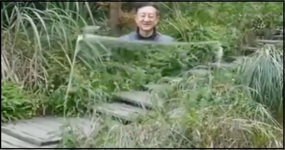 Invisible To Radars, China Claims Developing 'Hybrid Camouflage' That ...