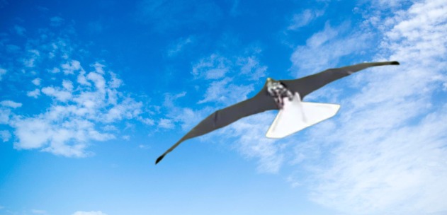 A Bird, Plane Or Drone? China's Revolutionary Flapping Wing UAV Takes ...